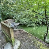 Deep Run Park Trails, Virginia - 1,306 Reviews, Map | AllTrails