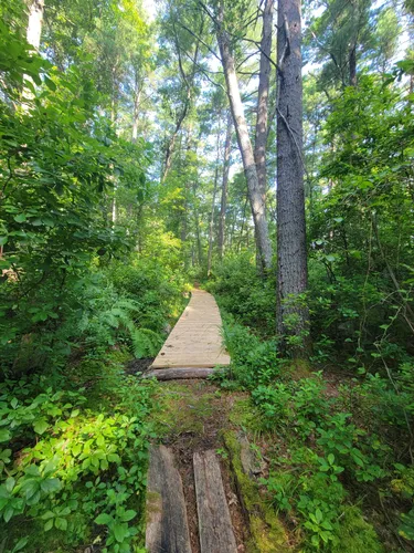 Best Hikes and Trails in Sampson Forest & Memorial Park | AllTrails