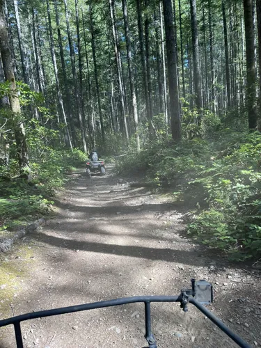 Best Moderate Trails in Tahuya State Forest | AllTrails