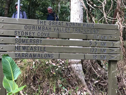Best Hikes and Trails in Ourimbah State Forest | AllTrails