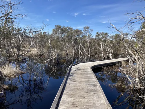 Best Hikes and Trails in Len Howard Conservation Park | AllTrails