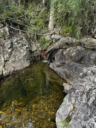 Best Hikes and Trails in Middle Brother National Park | AllTrails