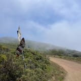 Gerbode Valley Loop, California - 529 Reviews, Map | AllTrails