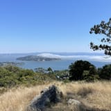 Gerbode Valley Loop, California - 529 Reviews, Map | AllTrails