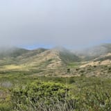 Gerbode Valley Loop, California - 529 Reviews, Map | AllTrails