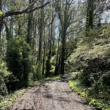 Gerbode Valley Loop, California - 529 Reviews, Map | AllTrails