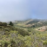 Gerbode Valley Loop, California - 529 Reviews, Map | AllTrails