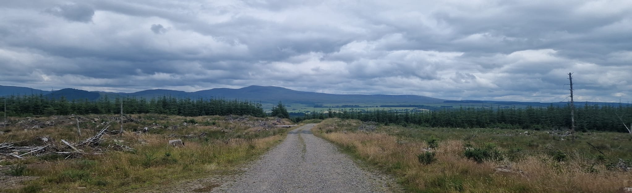 Loch Rusky: 2 Reviews, Map - Stirling, Scotland | AllTrails