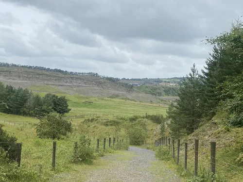 Best Hikes and Trails in Saggart Woods | AllTrails