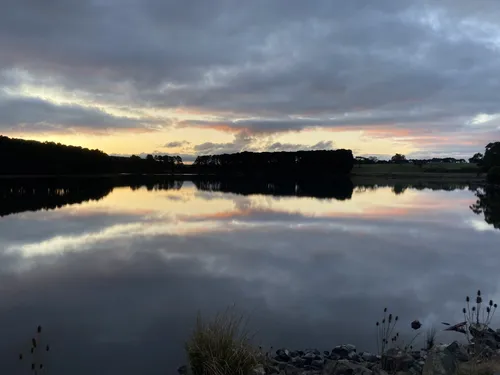 Best Hikes and Trails in Bungal State Forest | AllTrails