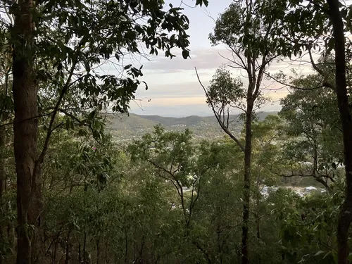 Best Hikes and Trails in Keperra Bushland Reserve | AllTrails