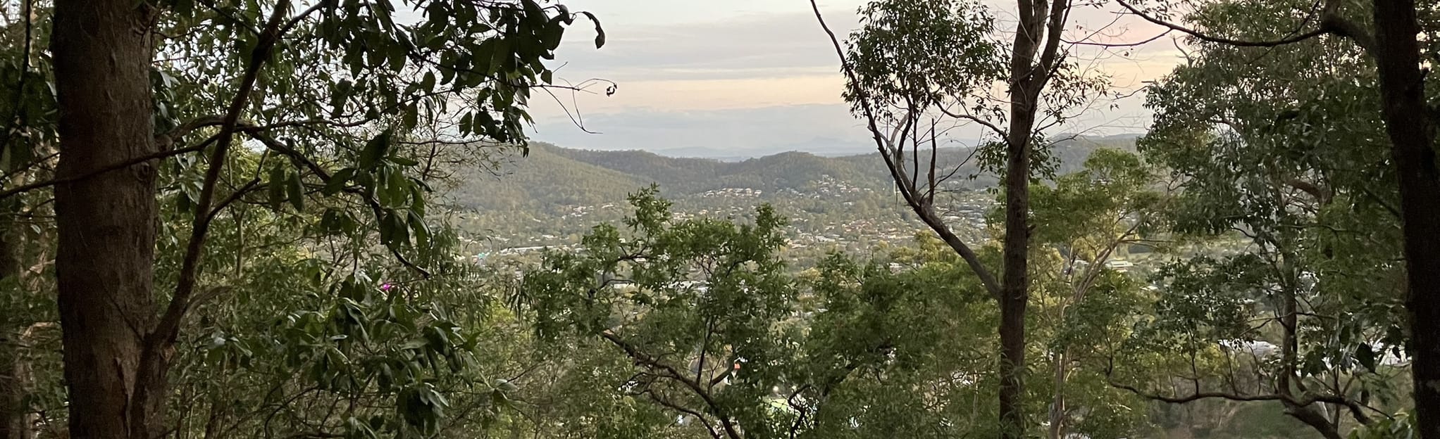 Keperra Saddle, Queensland, Australia - 122 Reviews, Map | AllTrails