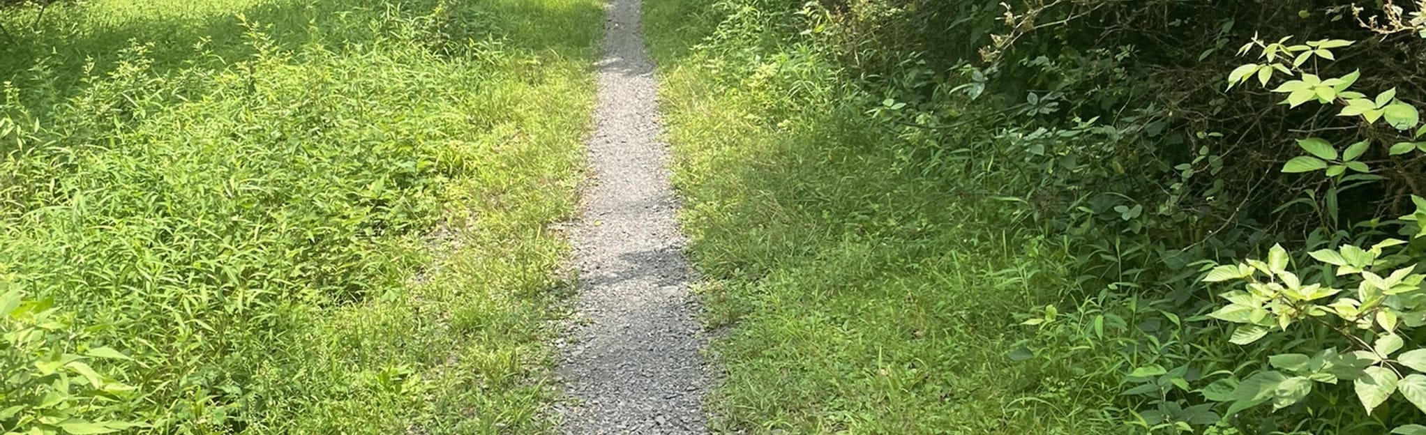 Chapel Trail: 233 Reviews, Map - Pennsylvania | AllTrails