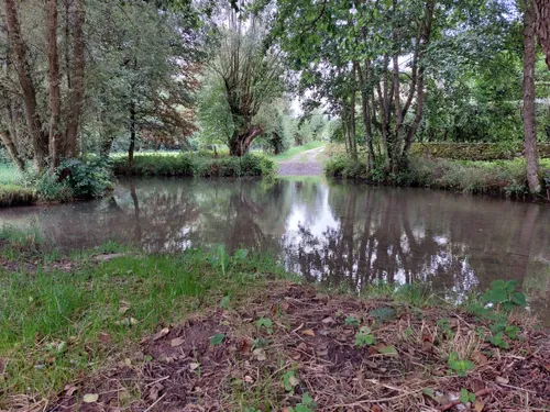 Best Hikes and Trails in Chateau des Comtes de Marchin | AllTrails