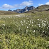 Stórurð - Súlur: 70 foton – Östlandet, Island | AllTrails