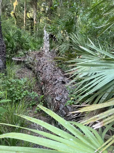 Best Hikes and Trails in Potts Preserve | AllTrails