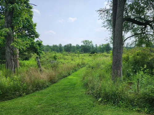 Best Hikes and Trails in Blanche Katherine Novak Wildlife Sanctuary ...