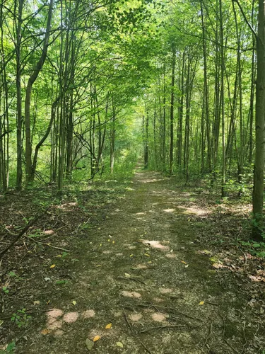 Best Hikes and Trails in Blanche Katherine Novak Wildlife Sanctuary ...