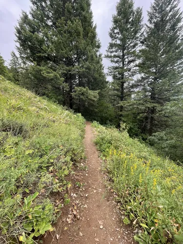 2023 Best Views Trails in Thayne | AllTrails