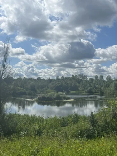 2023 Best Wildflowers Trails in Langeskov | AllTrails