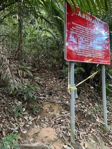 2023 Best Forest Trails in Hutan Lipur Soga Perdana | AllTrails