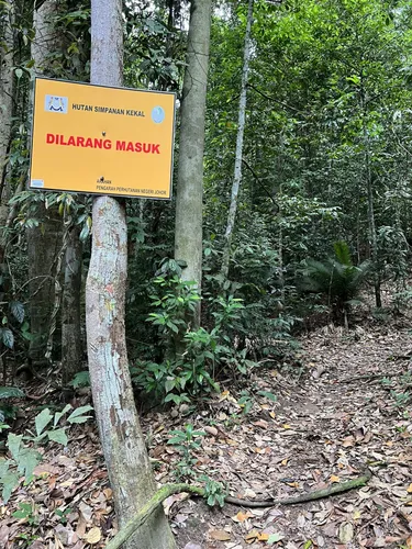 Best Hikes and Trails in Hutan Lipur Soga Perdana | AllTrails