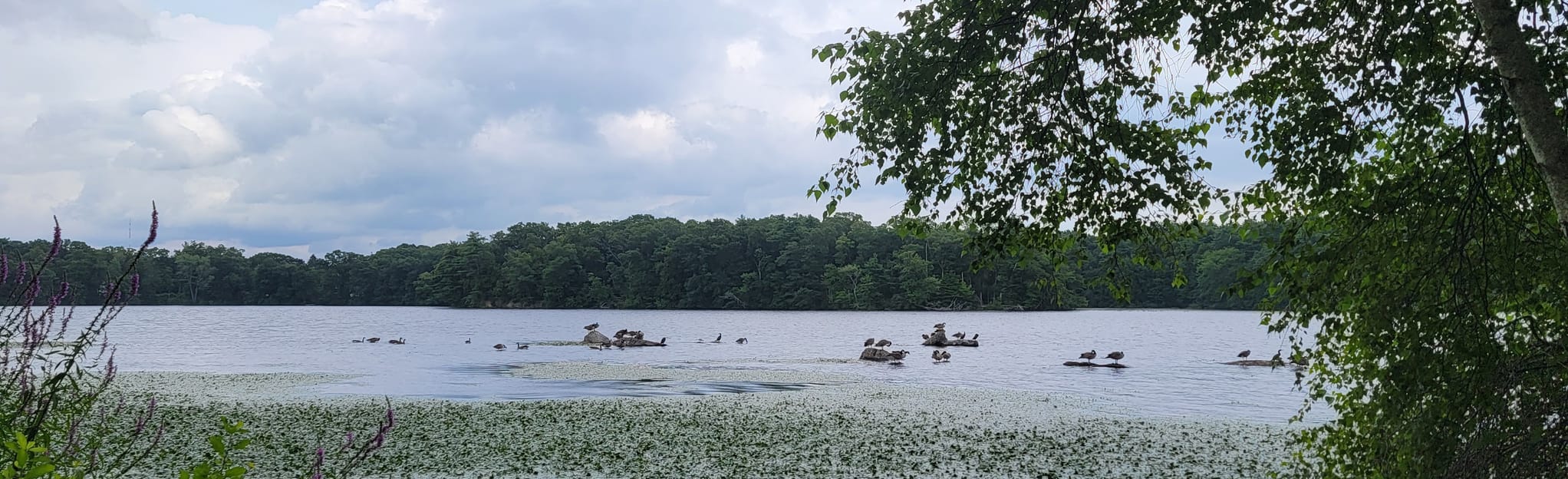 Turner Loop Trail, Rhode Island - 552 Reviews, Map | AllTrails
