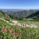 Gobblers Knob via Alexander Basin Trail, Utah - 607 Reviews, Map ...