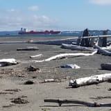 Damon Point State Park Trail, Washington - 513 Reviews, Map | AllTrails