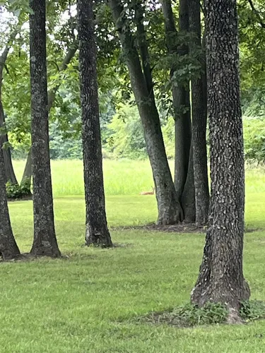 2023 Best Wild Flowers Trails in Lone Jack | AllTrails