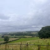 Hackfall Explorer, North Yorkshire, England - 428 Reviews, Map | AllTrails