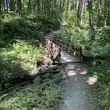 Galen McBee Airport Park Loop, Oregon - 230 Reviews, Map | AllTrails