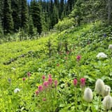 Berkeley Park Trail, Washington - 395 Reviews, Map | AllTrails