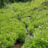 Berkeley Park Trail, Washington - 395 Reviews, Map | AllTrails