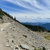 Berkeley Park Trail, Washington - 395 Reviews, Map | AllTrails