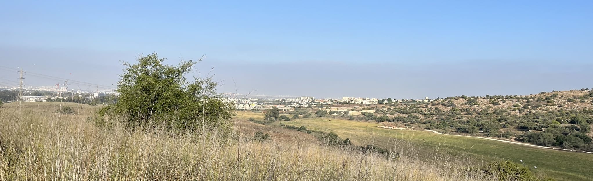 Hadom Shomron Reserve to Shoham Forest via Ben Shemen Forest, Central ...