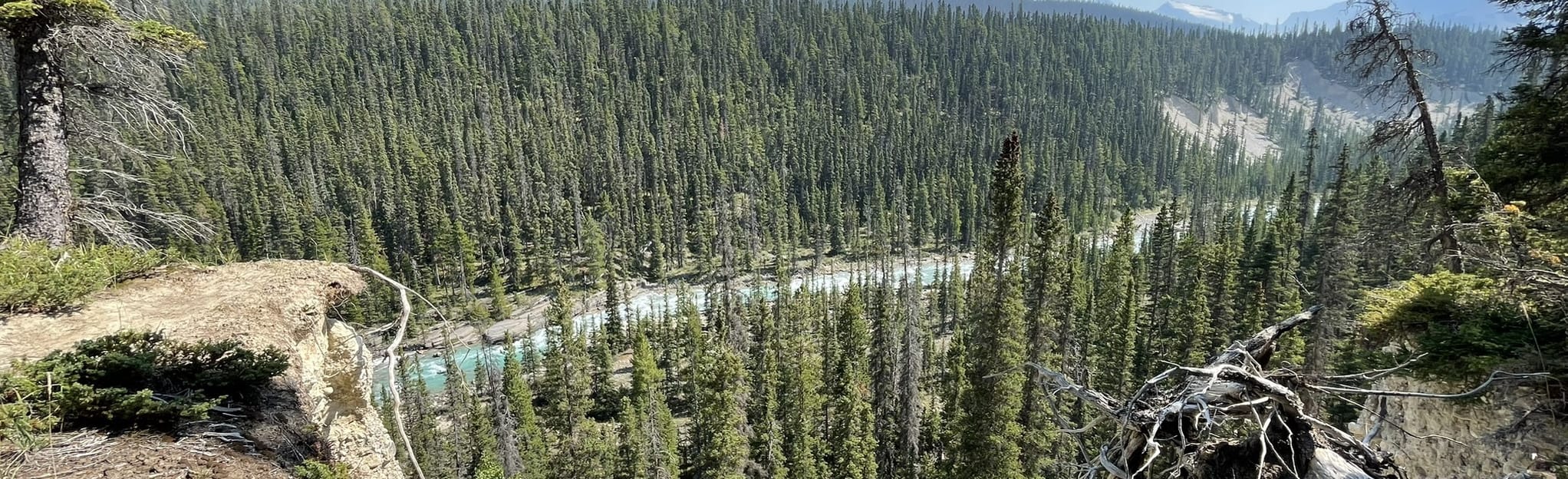 Mistaya Canyon: 398 Reviews, Map - Alberta, Canada | AllTrails