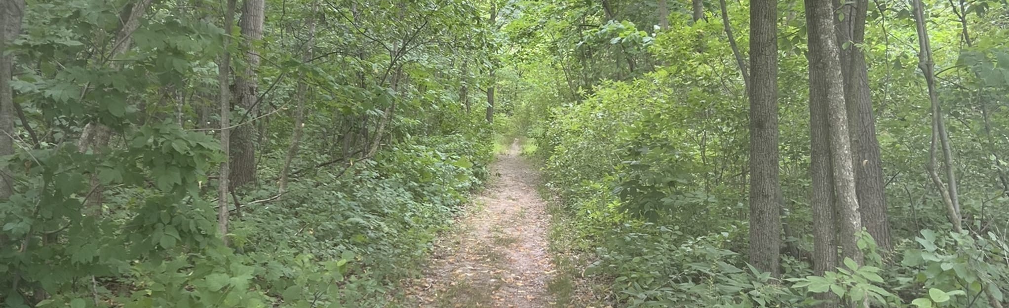 Falk Park Trail: 71 Reviews, Map - Wisconsin | AllTrails