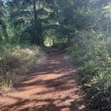 Pre's Trail, Oregon - 821 Reviews, Map | AllTrails