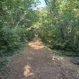 Pre's Trail, Oregon - 821 Reviews, Map | AllTrails