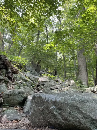 Best Hikes and Trails in Mansfield Recreational Park | AllTrails