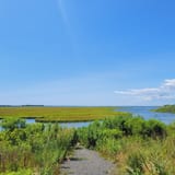 Cedar Bonnet Island, New Jersey - 155 Reviews, Map | AllTrails
