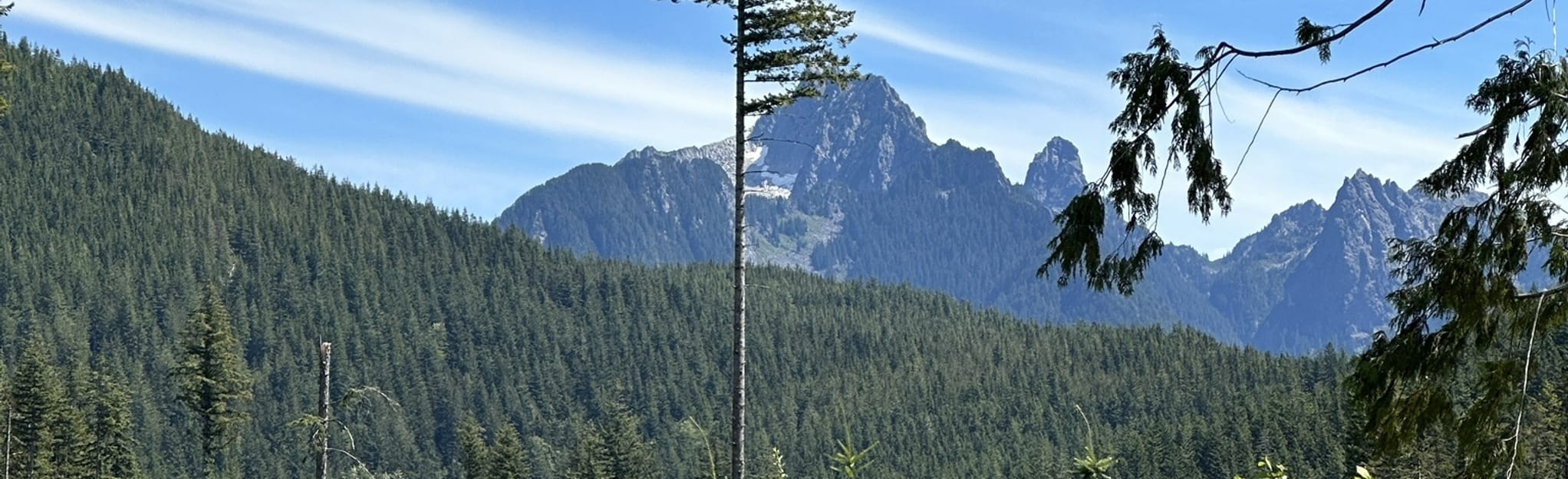 Reiter Hills OHV Loop, Washington - 59 Reviews, Map | AllTrails