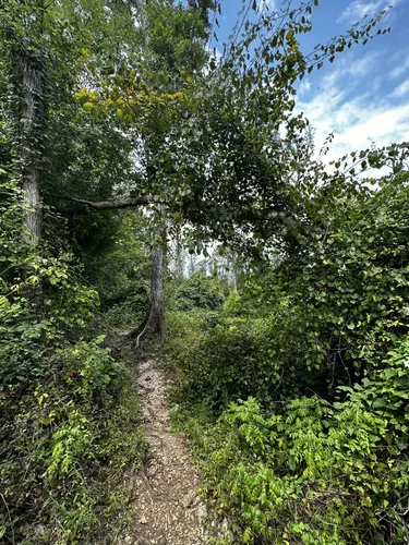 Best Hikes and Trails in Florida Caverns State Park | AllTrails