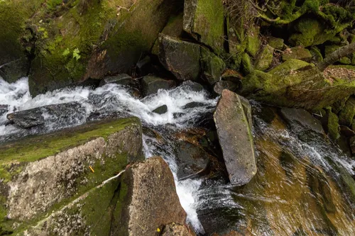 Best Hikes and Trails in Lost River Gorge & Boulder Caves | AllTrails