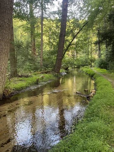 Best Hikes and Trails in Caledonia State Park | AllTrails