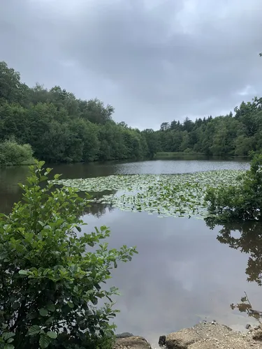 Best Lake Trails in Benyon's Enclosure | AllTrails