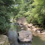 Meadow Run Trail, Pennsylvania - 995 Reviews, Map | AllTrails