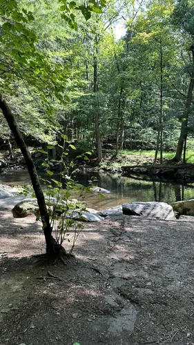 Best Hikes and Trails in Mianus River State Park | AllTrails