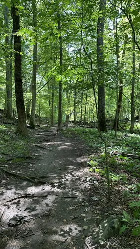 Best Hikes and Trails in Mianus River State Park | AllTrails